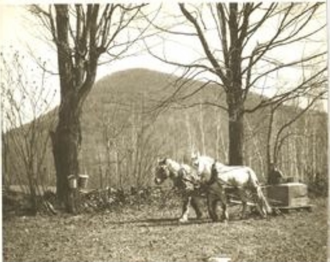 About Us – Dry Brook Sugar House
