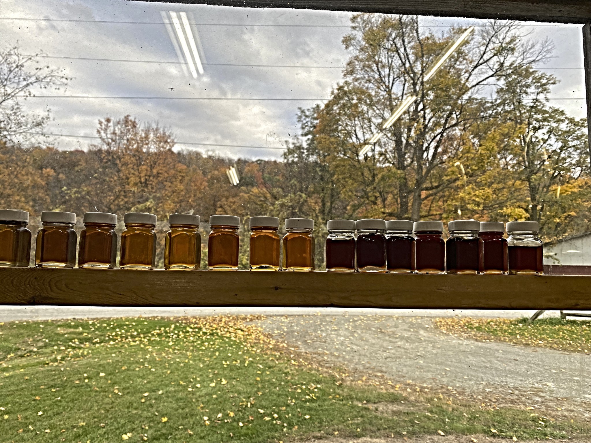 Dry Brook Sugar House – Best Maple Syrup Products